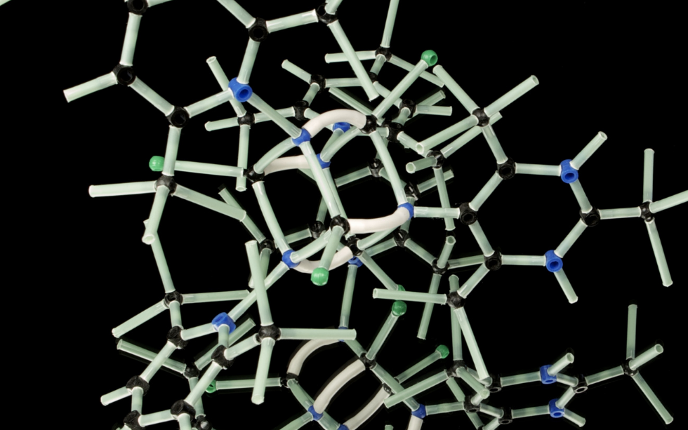 Why Spiritual DNA Matters - The Monday Christian